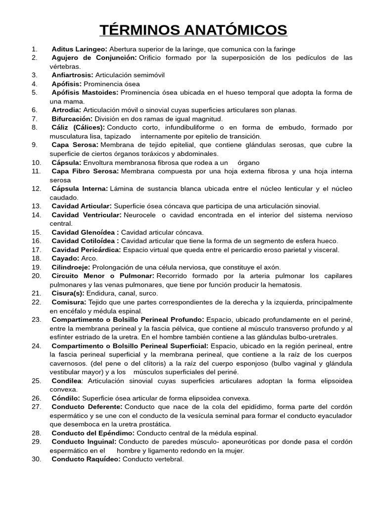Términos Anatómicos y Deportivos | PDF | Articulación | Epitelio