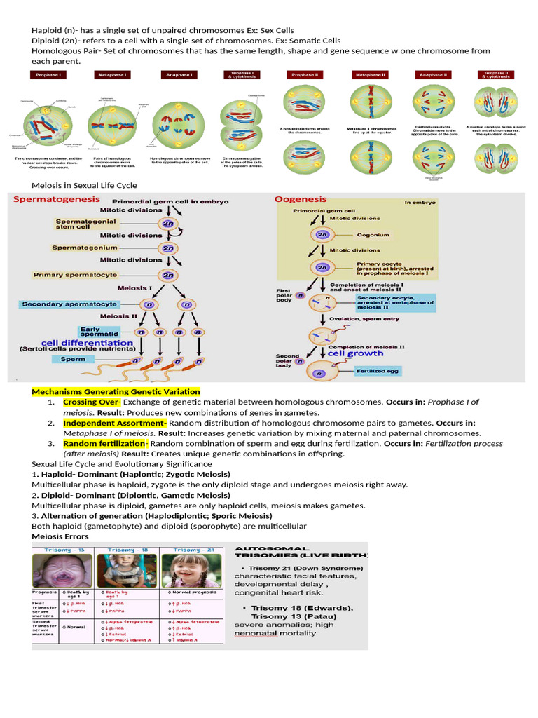bio rev | PDF | Dominance (Genetics) | Ploidy