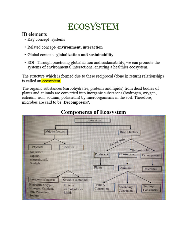 Unit 4- Ecosystem | PDF | Ecosystem | Decomposition