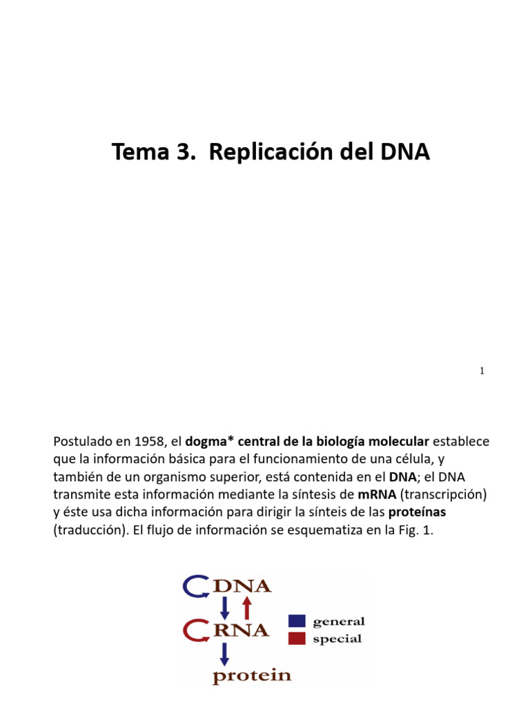 Tema 3. Replicación del DNA | PDF | Adn | Replicación De Adn