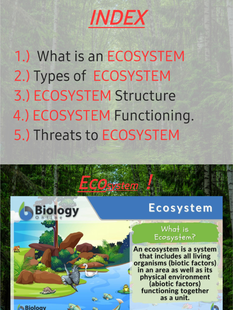 Ecosystem Final PPT - 260128 - 200615 | PDF