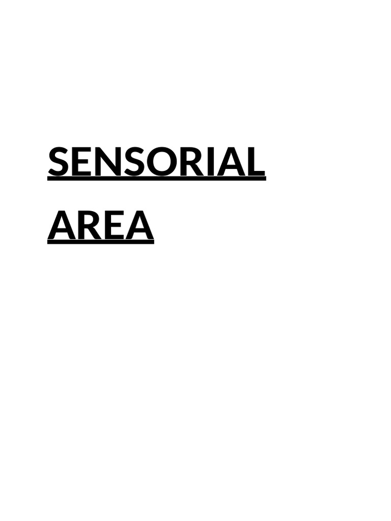 Sensorial Area | PDF | Shape | Triangle