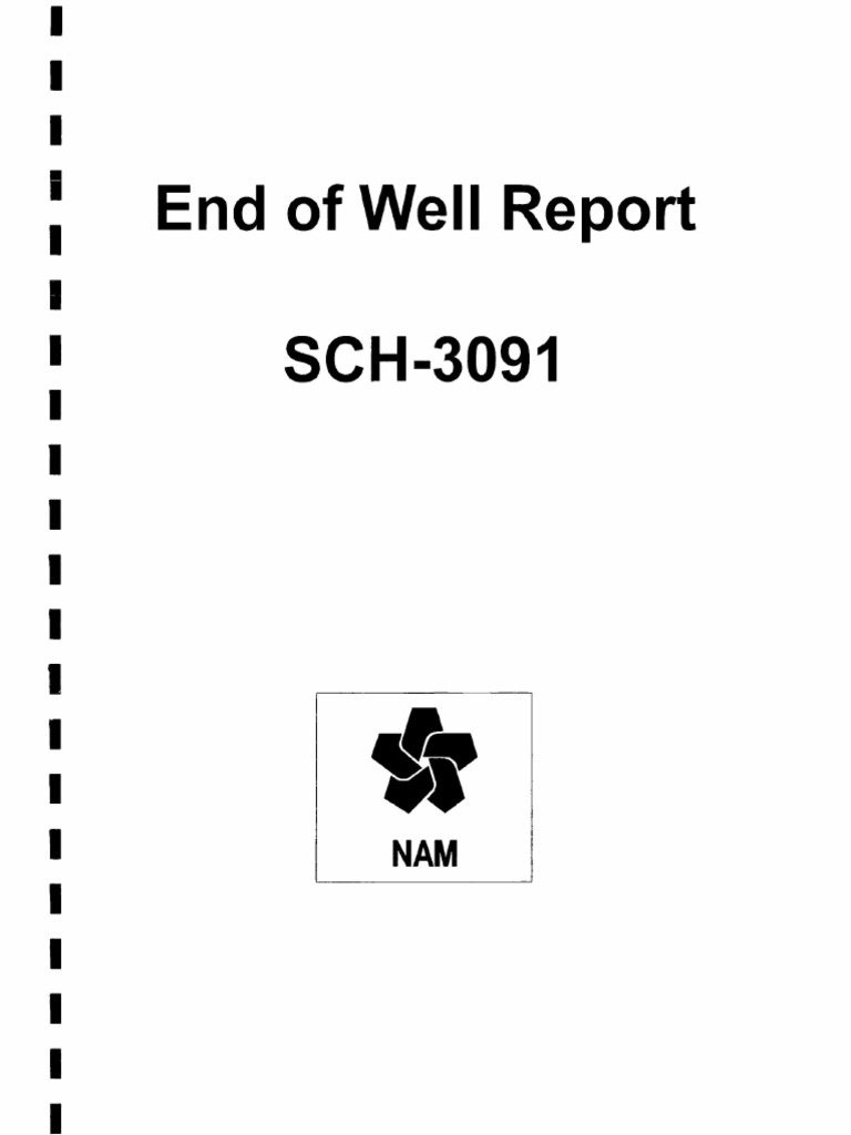 Nlog Gs Pub Sch-3091 Nam End of Well Report | PDF | Physical Sciences ...