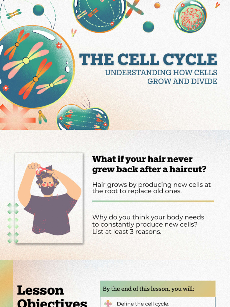 The Cell Cycle Interactive Presentation in Green and Orange Textured ...