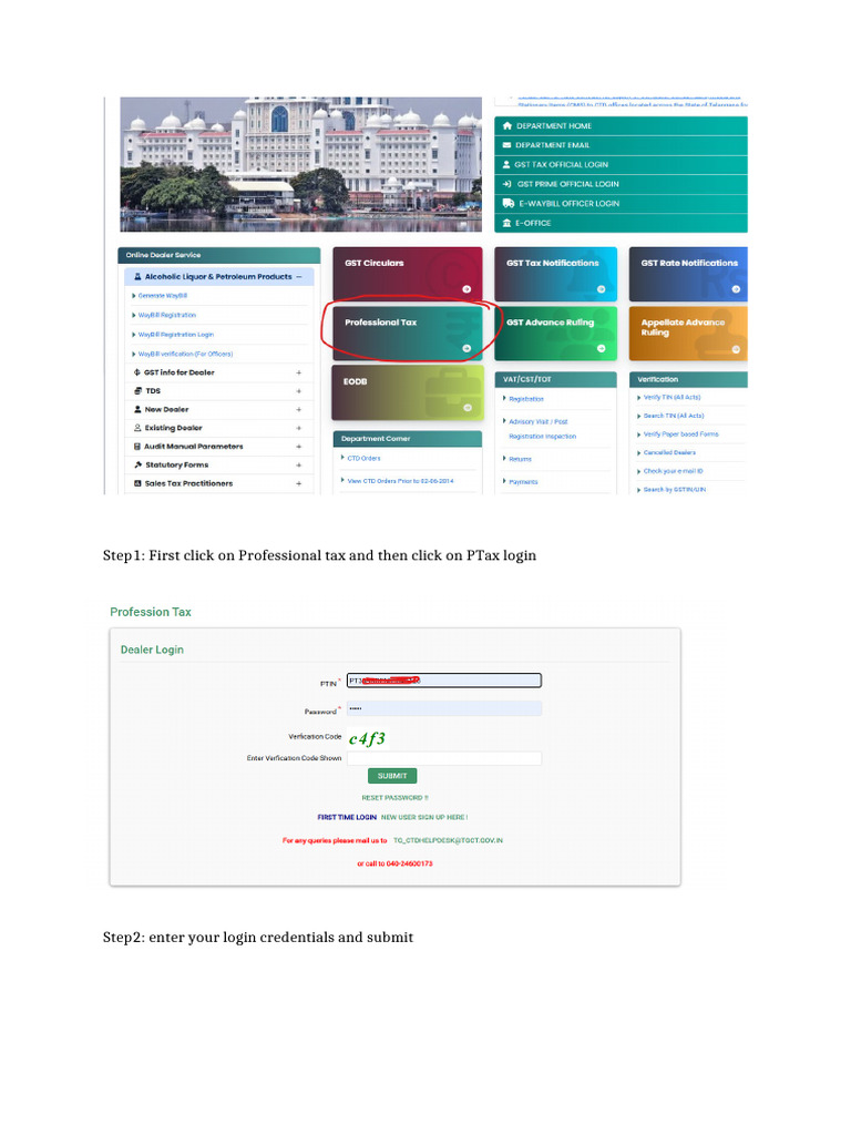 PT Filing Process | PDF