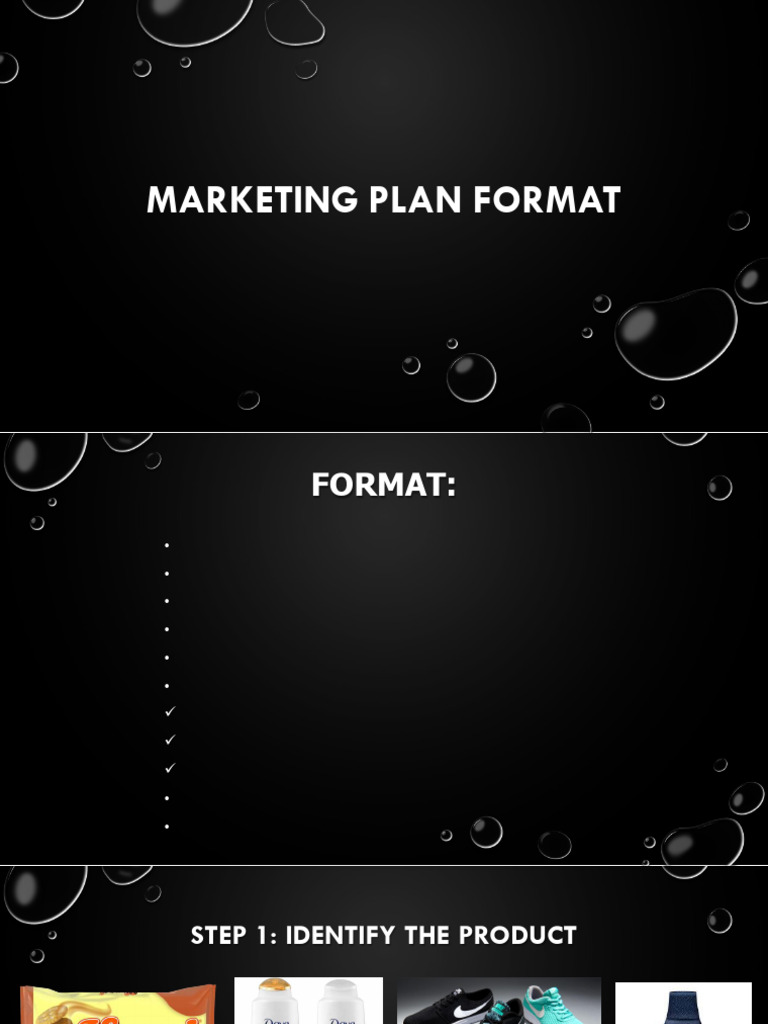 Marketing Plan Format | PDF