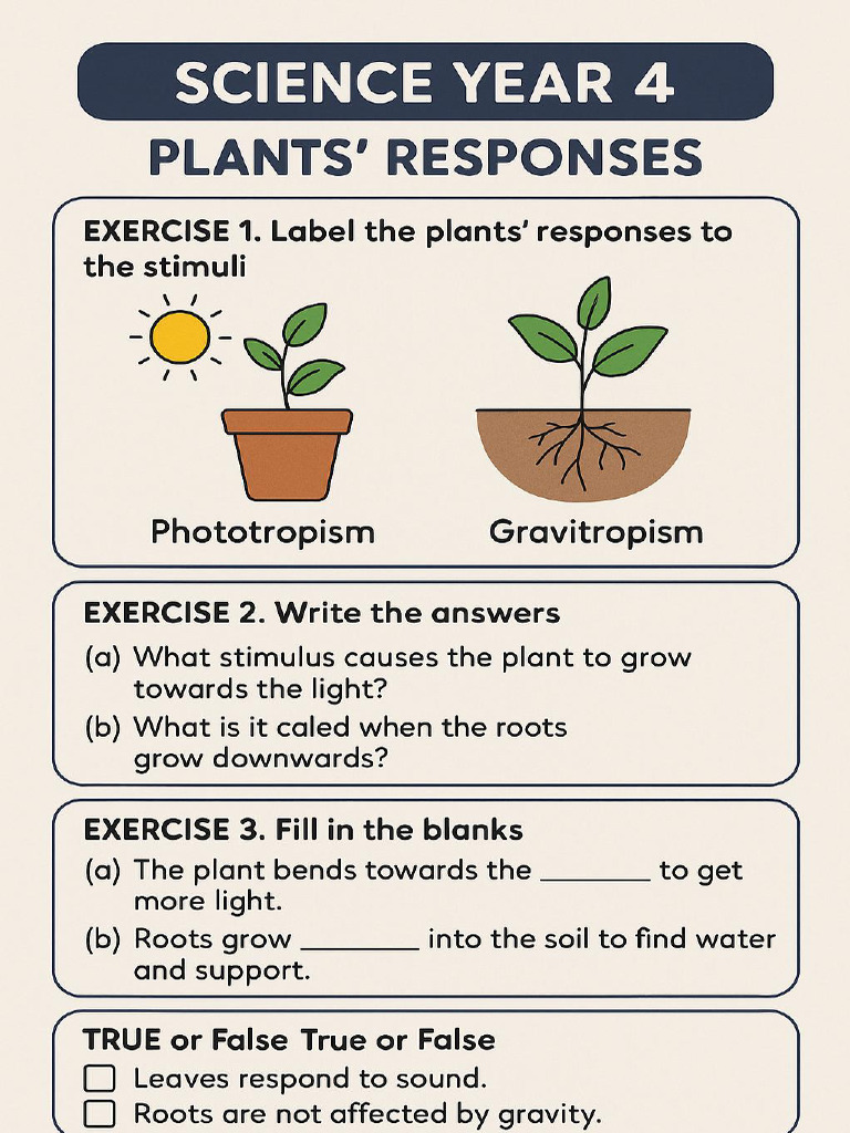 Science Year 4 Plants Responses Worksheet With Pictures | PDF