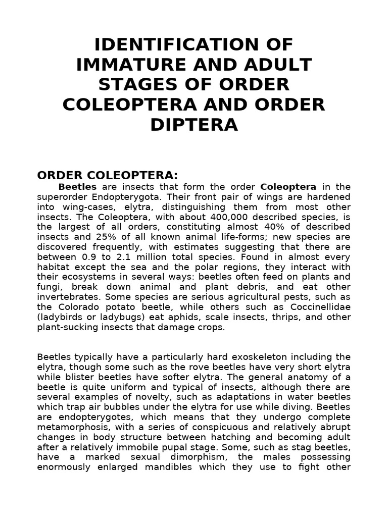 Identification of Immature and Adult Stages of Order Coleoptera Nad ...