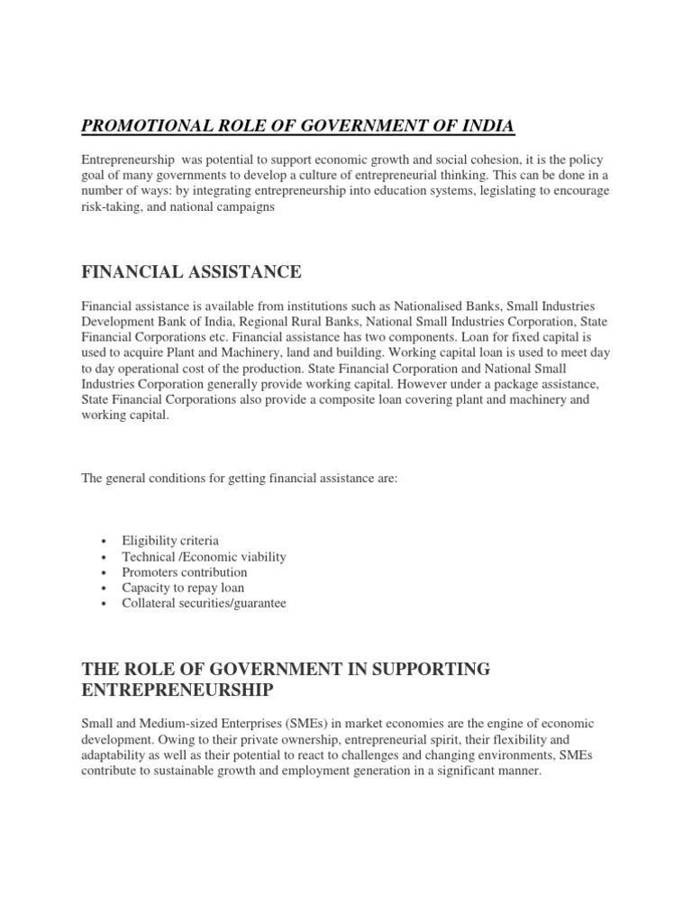 Government's Role in Promoting Entrepreneurship | PDF ...