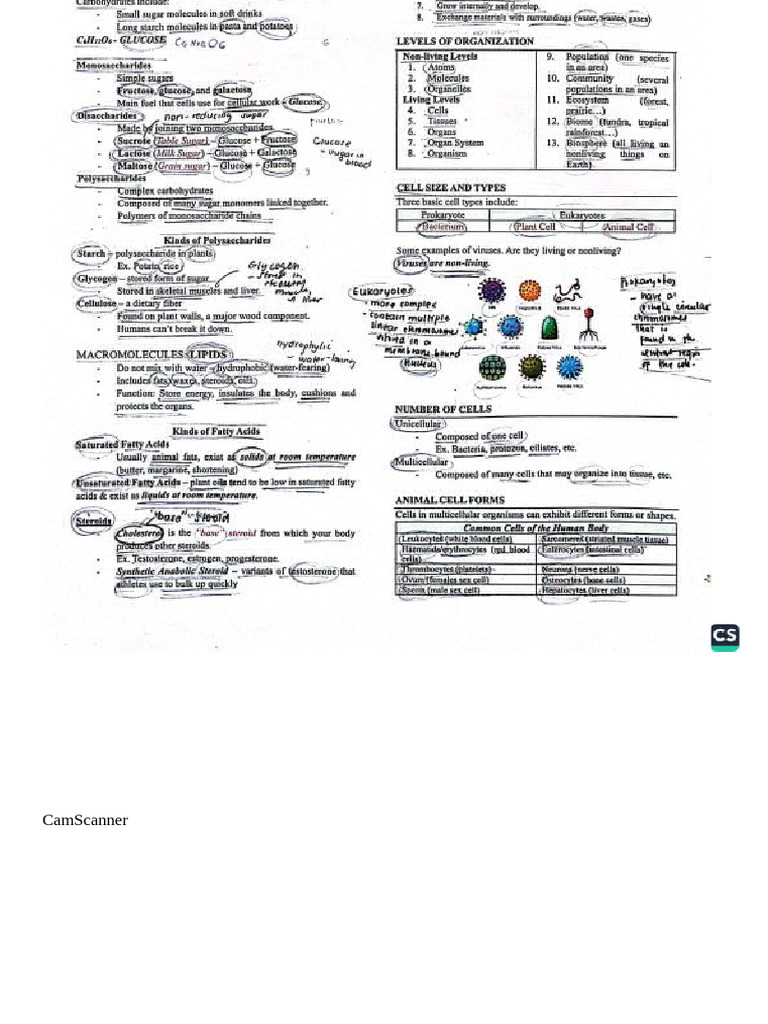 N (With Handwritten N) - Science, Logical Reasoning, English, Math ...