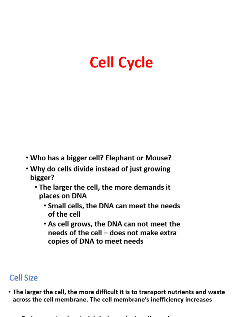 Lecture 3 Cell Cycle - Mitosis & Meiosis | PDF | Meiosis | Mitosis
