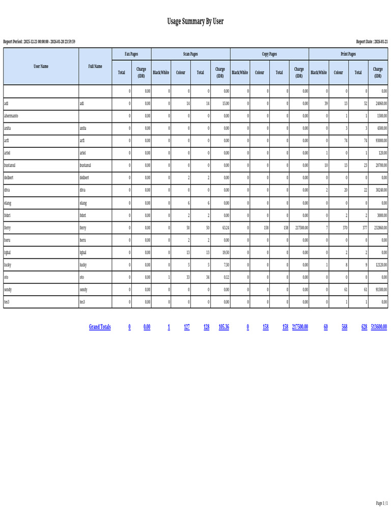 UsageSummaryByUser SummaryReport | PDF | Office Work | Office Equipment