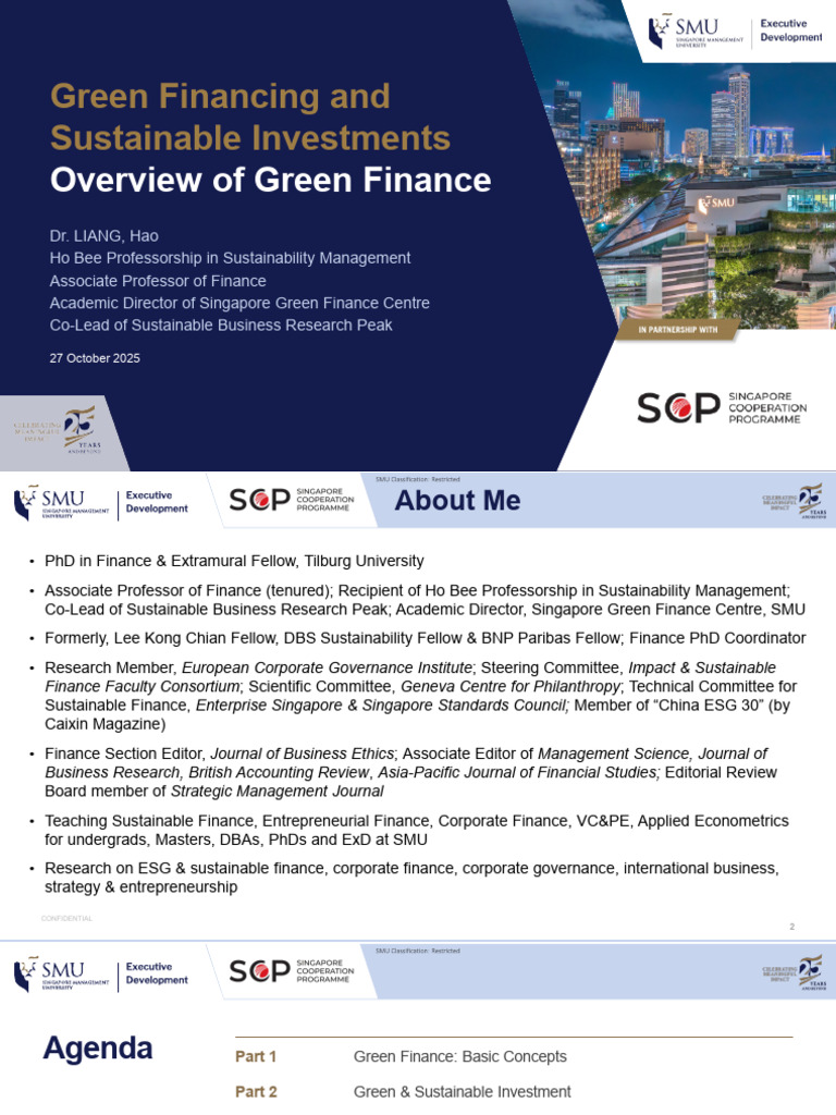 (MFA) Overview of Green Finance | PDF | Corporate Social Responsibility ...