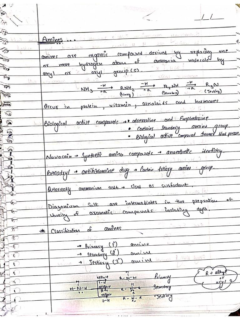 Amines 12th Cbse Based | PDF