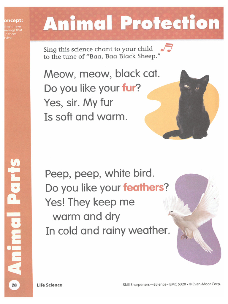 04 Animal Parts | PDF