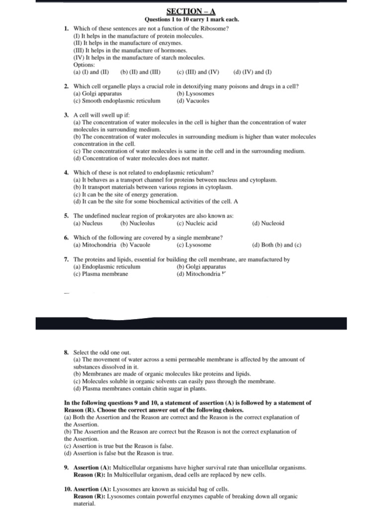 Chapter-5 the Fundamental Unit of Life | PDF