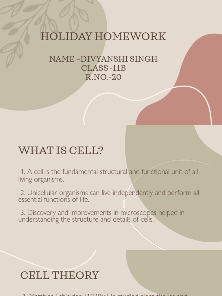 Holiday Homework: Name Divyanshi Singh Class - 11B R.NO.-20 | PDF ...