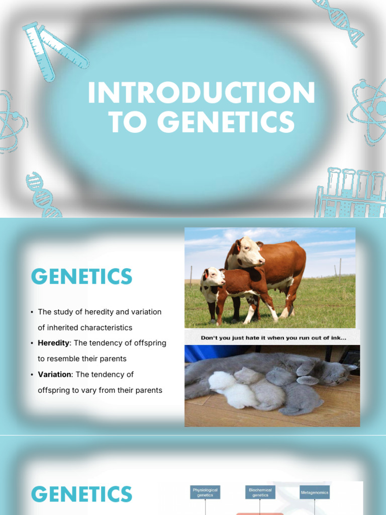 Module-1-Intro-to-Genetics | PDF | Dominance (Genetics) | Allele