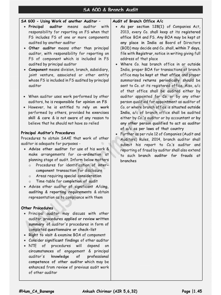 Ankish Branch Audit | PDF