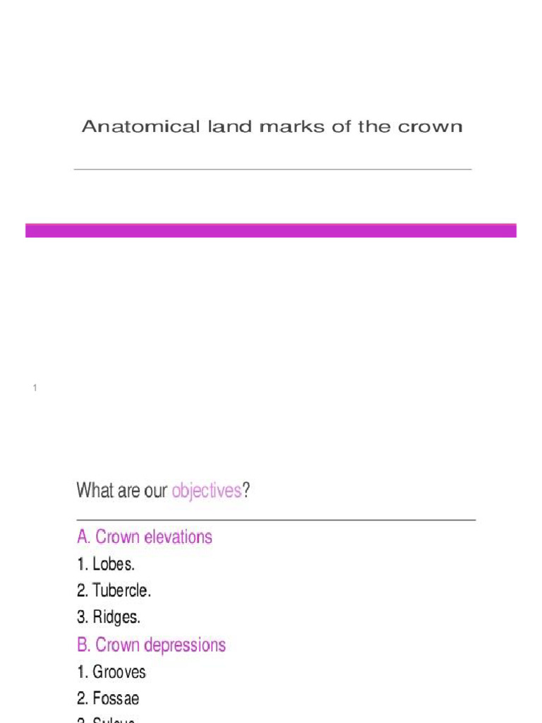 Anatomical Landmarks of Tooth | PDF