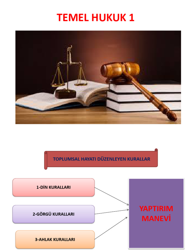 SHV 1 | PDF