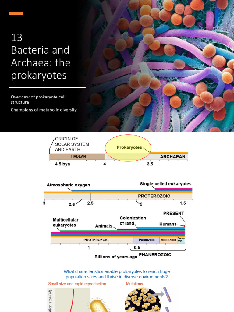 1510 13 Bacteria and Archaea | PDF | Bacteria | Cell (Biology)