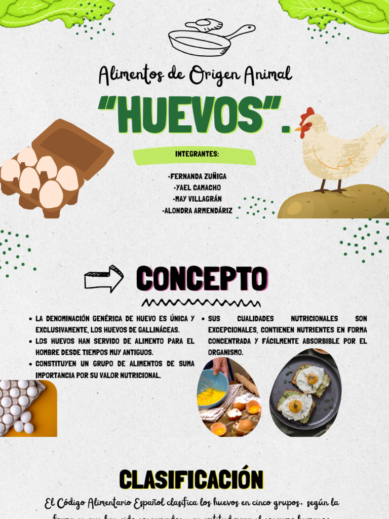Alimentos de Origen Animal | PDF | Yema de huevo | Proteínas