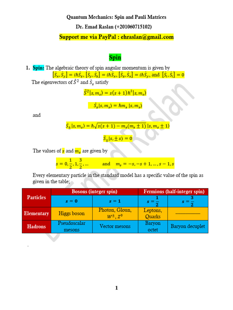 Spin and Pauli Matrices-1 | PDF | Elementary Particle | Spin (Physics)