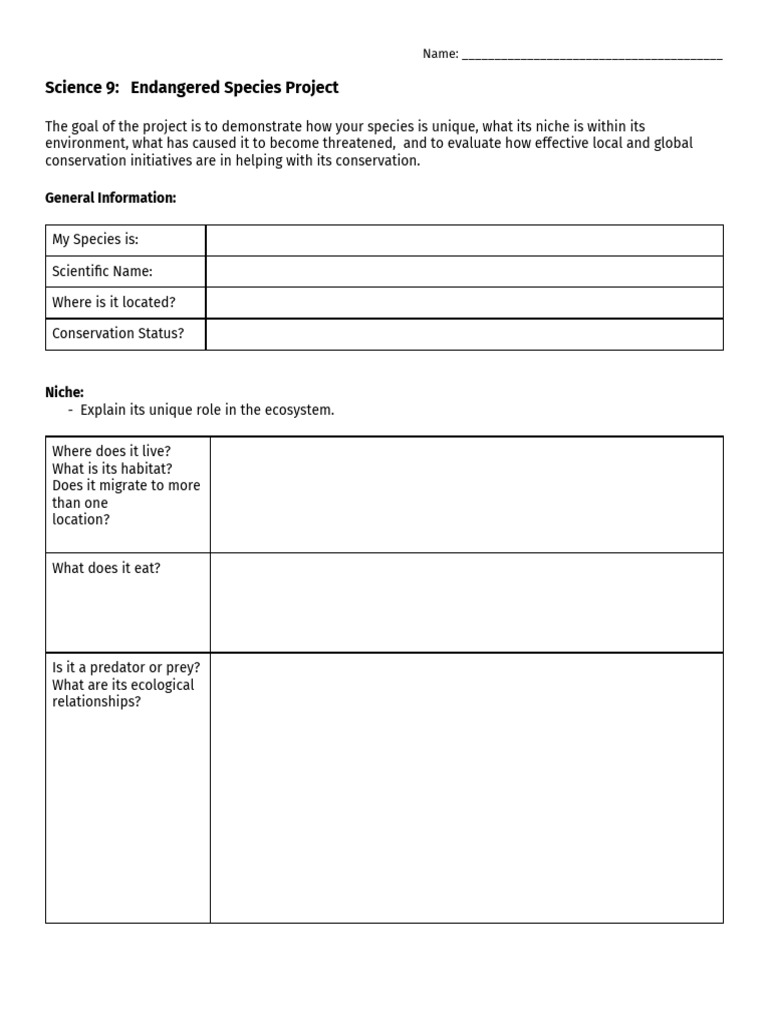 01 Project Graphic Organizer | PDF