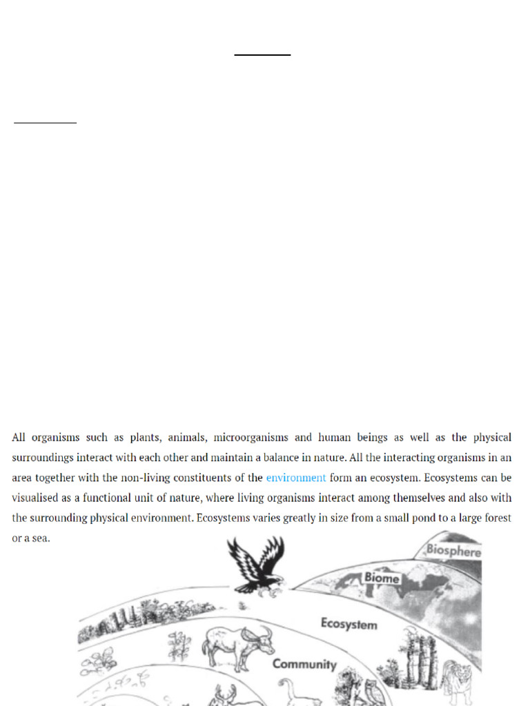Chapter 1 2 Ecosystem[1] | PDF | Food Web | Ecosystem