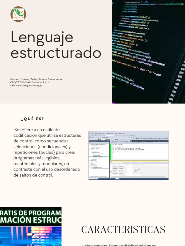 lenguaje estructurado | PDF | Lenguaje de programación | Software