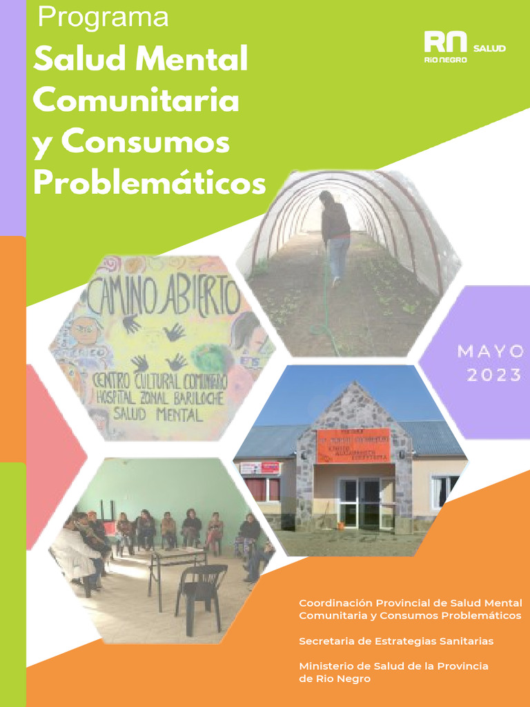 Programa de SMC | PDF | Salud mental | Cuidado de la salud