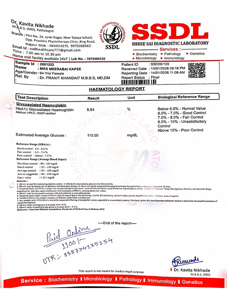 Meerabai Kapse Test Invoice and Report | PDF