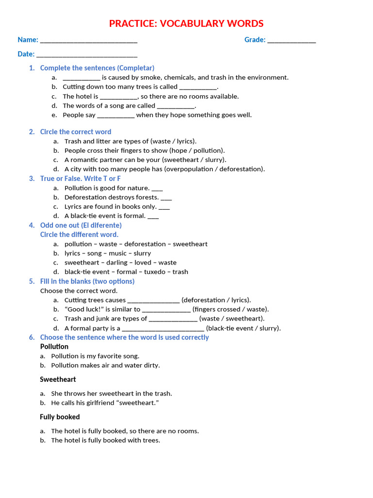 8vo Vocabulary Practice | PDF