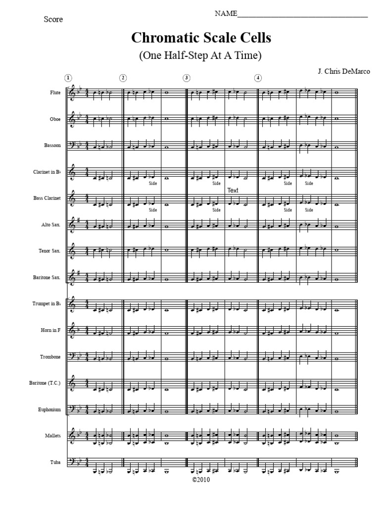 Chromatic-Cells-DeMarco-Compiled copy | PDF