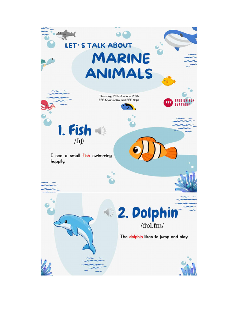 SD - Let's Talk About Marine Animals (29!01!2026) | PDF