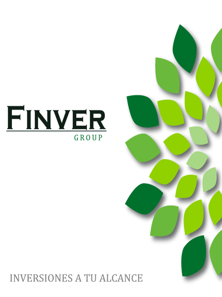 Presentación FINVER Oficial | PDF