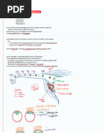 Pathophysiology of Normal Vaginal Delivery | PDF | Sexual Reproduction ...