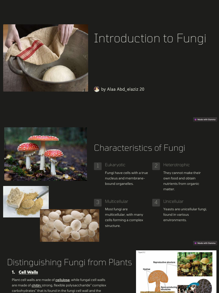 Introduction to Fungi (5) | PDF | Fungus | Cell (Biology)