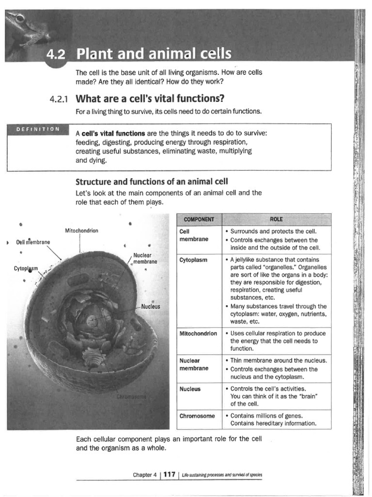 Cells Red Book W-Answers | PDF