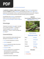 Vombate: Cocô em Forma de Cubo | PDF