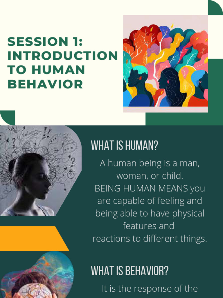 Introduction To Human Behaviour Organization Compressed | PDF ...