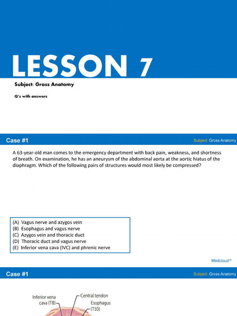 Cases Lesson 7 | PDF