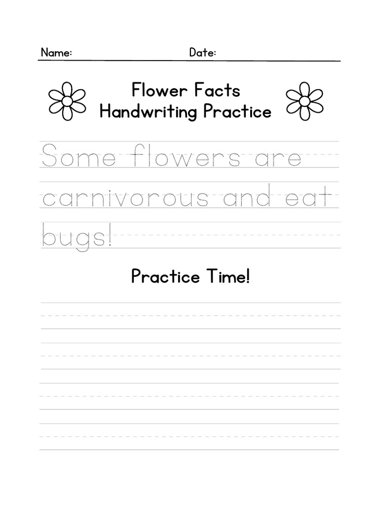 Flower Facts Handwriting Practice Worksheet in Monochrome Simple Style ...