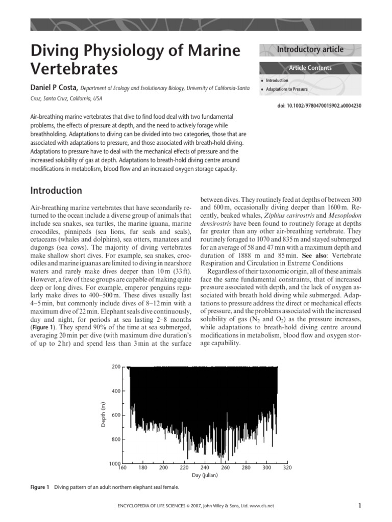 Diving Physiology of Marine Vertebrates | PDF | Underwater Diving ...