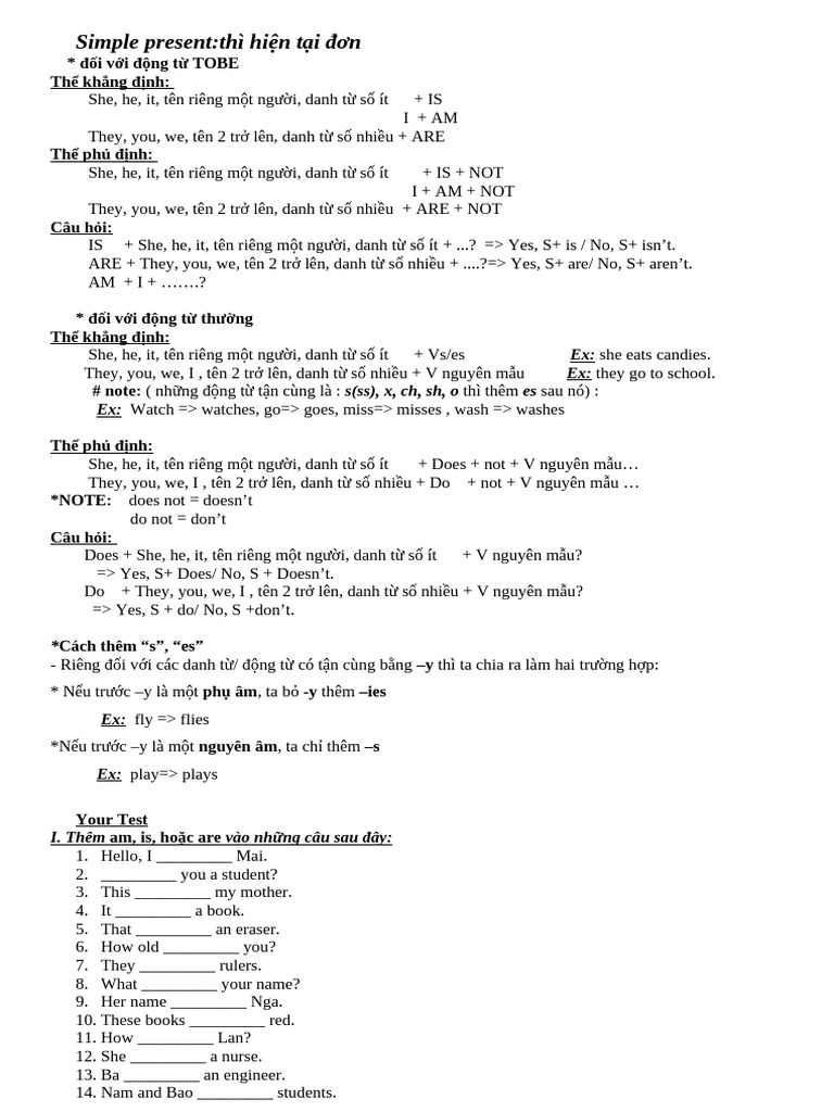 Simple Present-Lan 1 | PDF