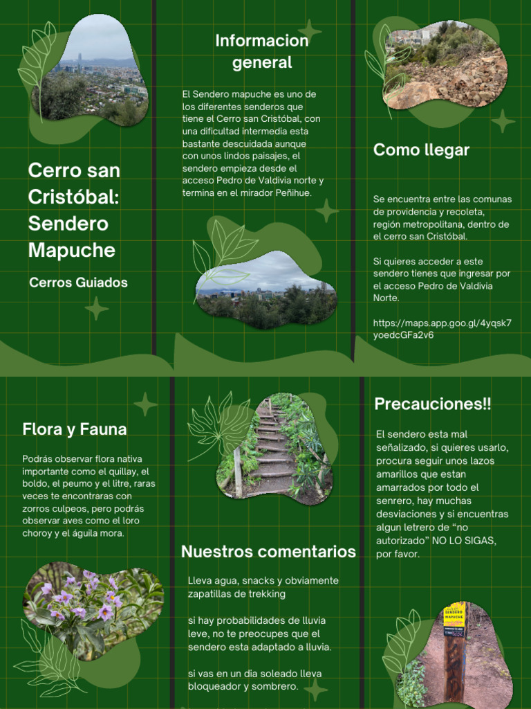Tríptico Salida 4 - Sendero Mapuche | PDF
