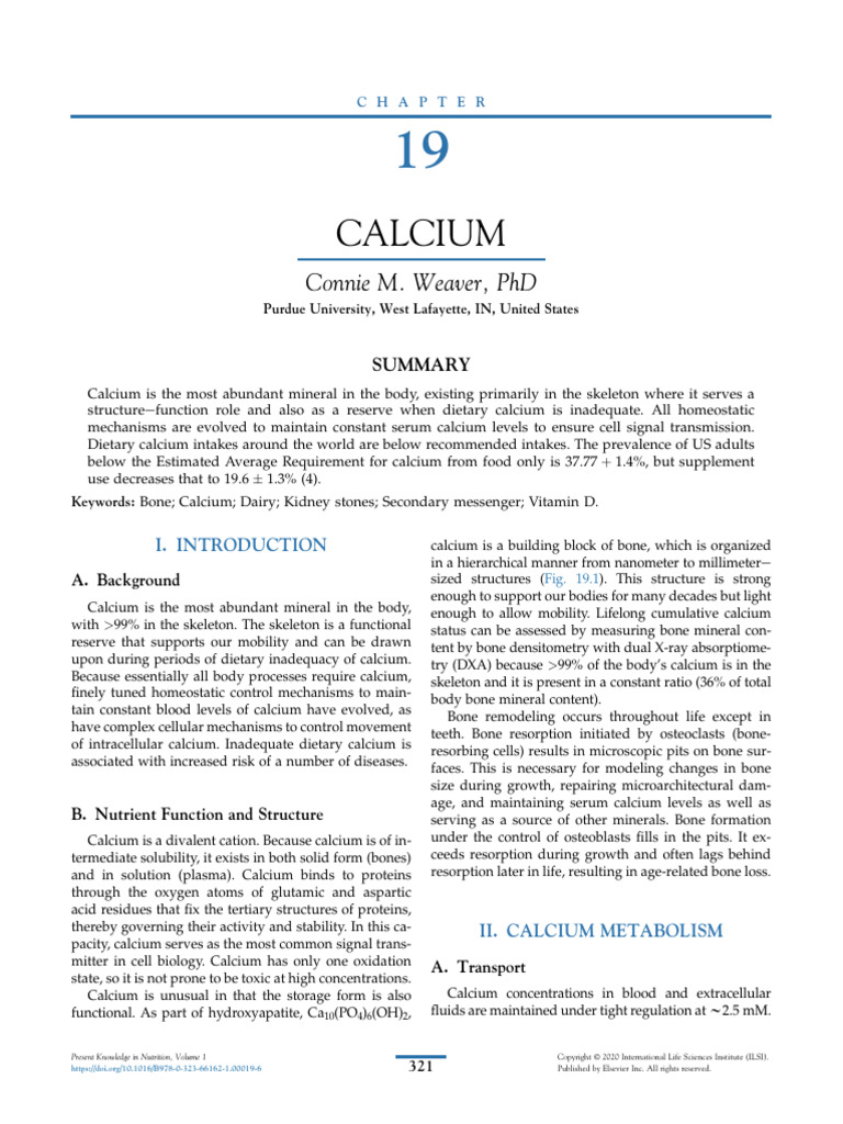 Calcium | PDF | Osteoporosis | Bone