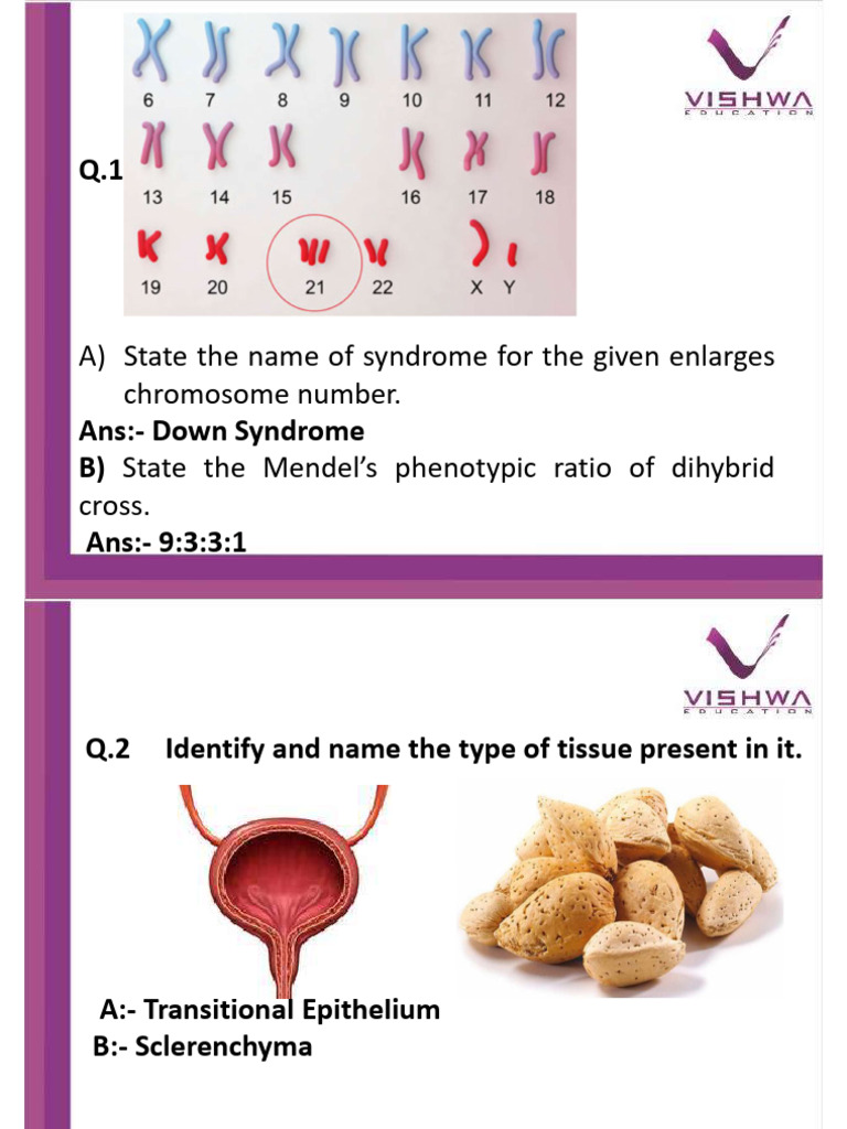 9th Bio Activity Answer | PDF