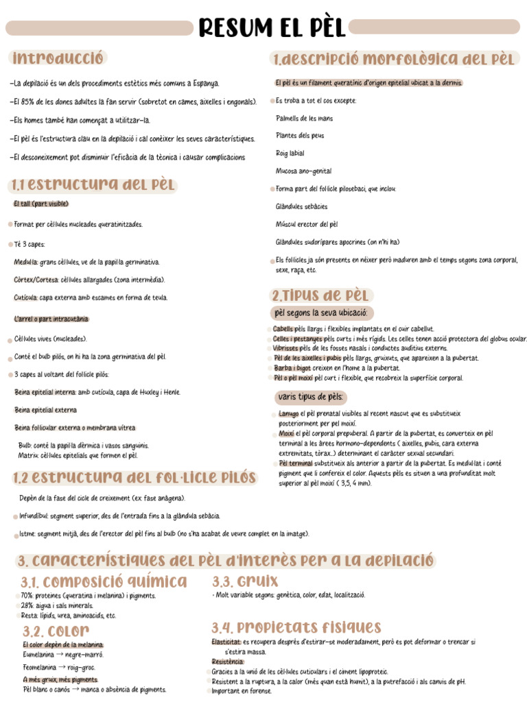 RESUM PEL | PDF